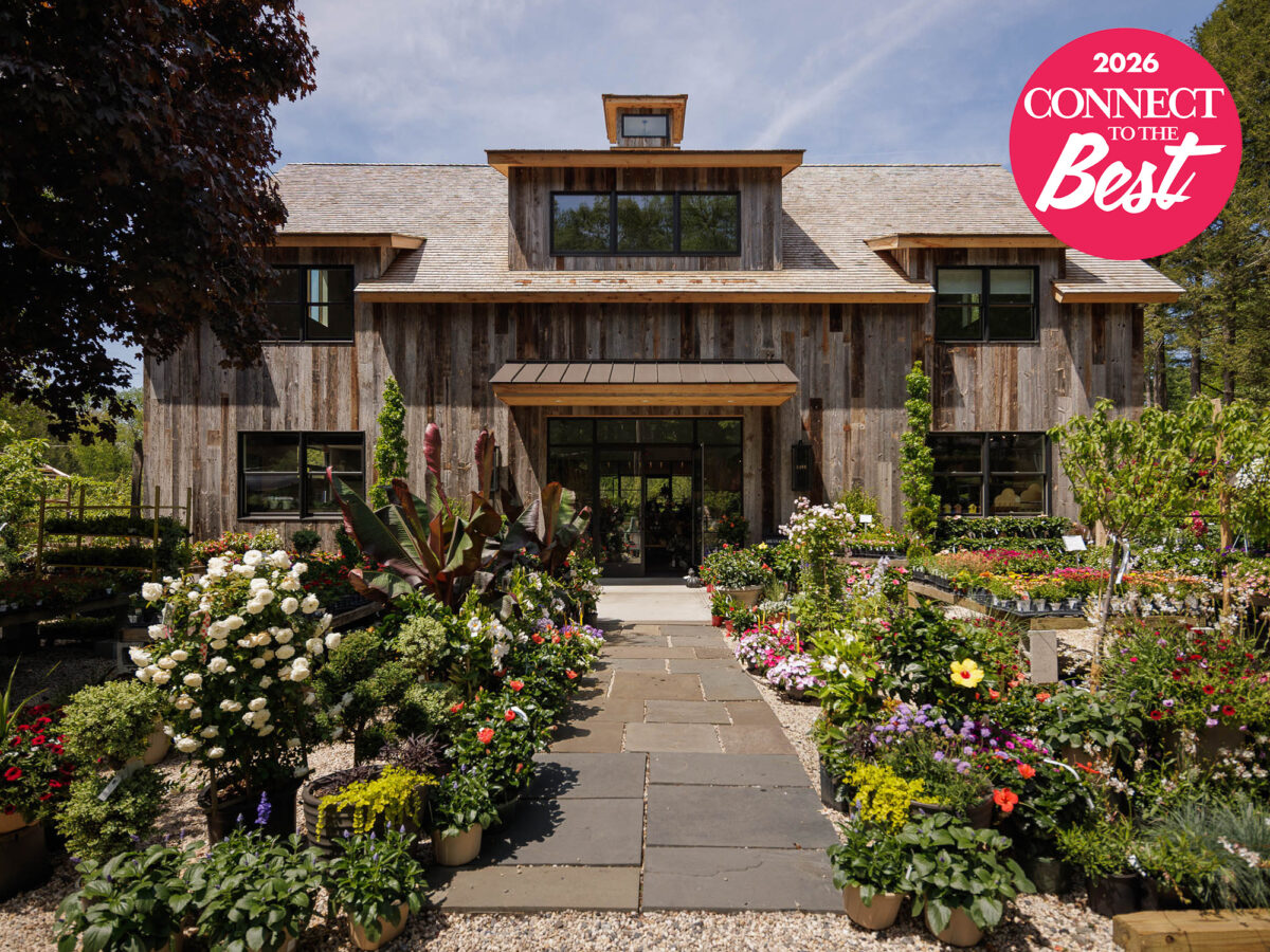 Ones To Watch 2026 – Bedford Farms, Bedford